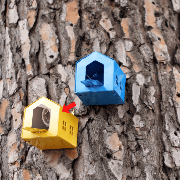 How to Hide a Camera in Plain Sight? (10 Creative Ways)