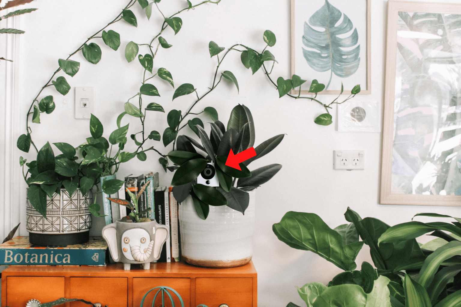 How to Hide a Camera in Plain Sight? (10 Creative Ways)