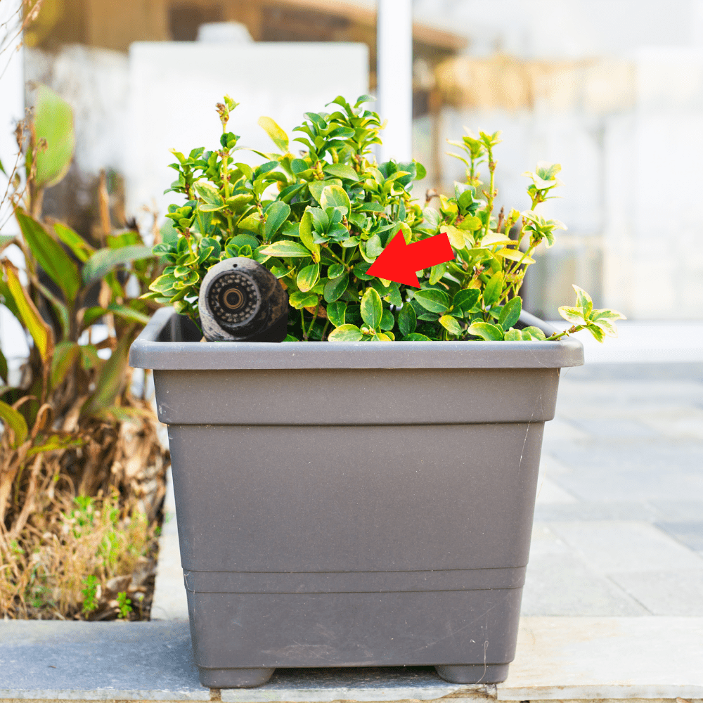 How to Hide a Camera in Plain Sight? (10 Creative Ways)