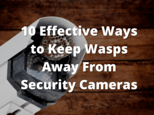 10 Effective Ways to Keep Wasps Away From Security Cameras