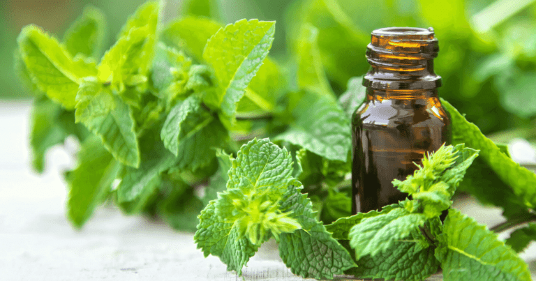 10 Effective Ways to Keep Wasps Away From Security Cameras