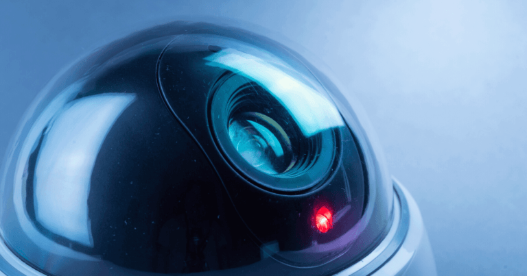 10 Effective Ways to Keep Wasps Away From Security Cameras