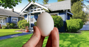 What To Do When Your House Gets Egged? (Stop It For Good!)