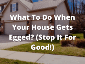 What To Do When Your House Gets Egged? (Stop It For Good!)