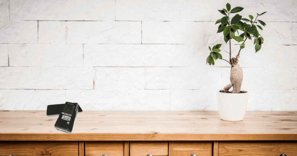 The Ultimate Guide to Blocking Out Listening Devices in 2025