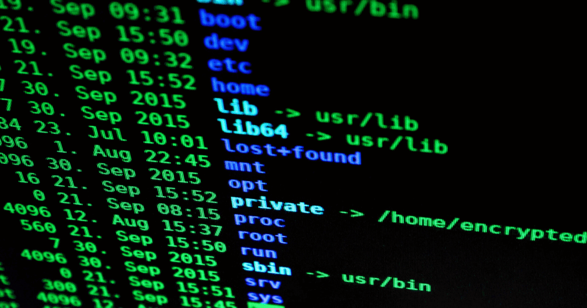 Can Wired Security Cameras Be Hacked? (Unexpected Truth)