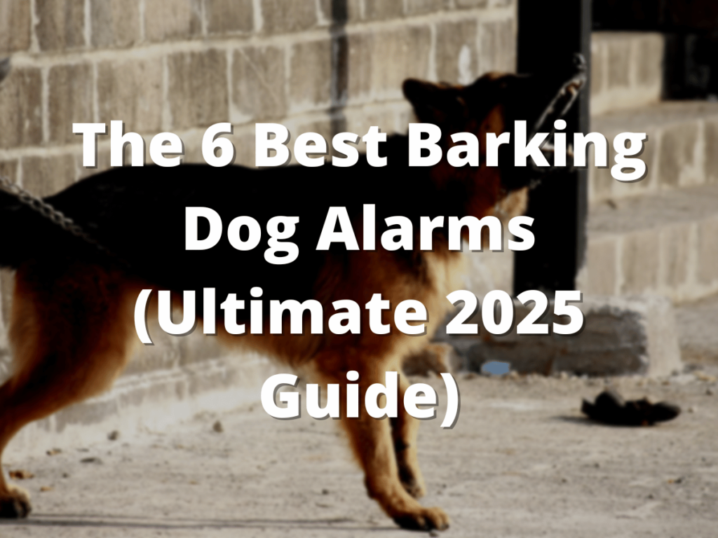 The 6 Best Barking Dog Alarms (Ultimate 2025 Guide)