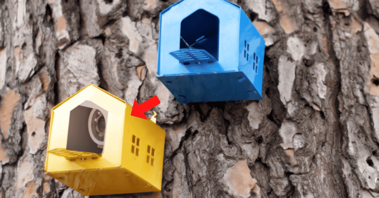 How to Hide a Camera in Plain Sight? (10 Creative Ways)