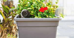 How to Hide a Camera in Plain Sight? (10 Creative Ways)