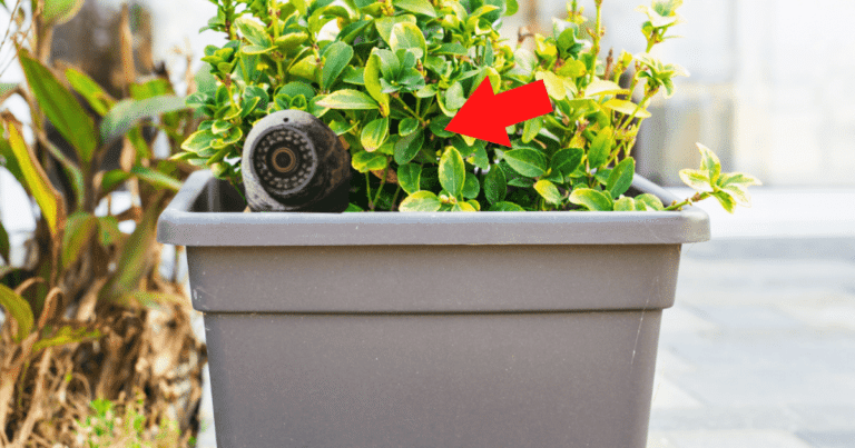 How to Hide a Camera in Plain Sight? (10 Creative Ways)