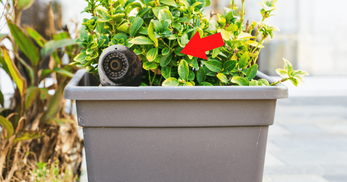 How to Hide a Camera in Plain Sight? (10 Creative Ways)