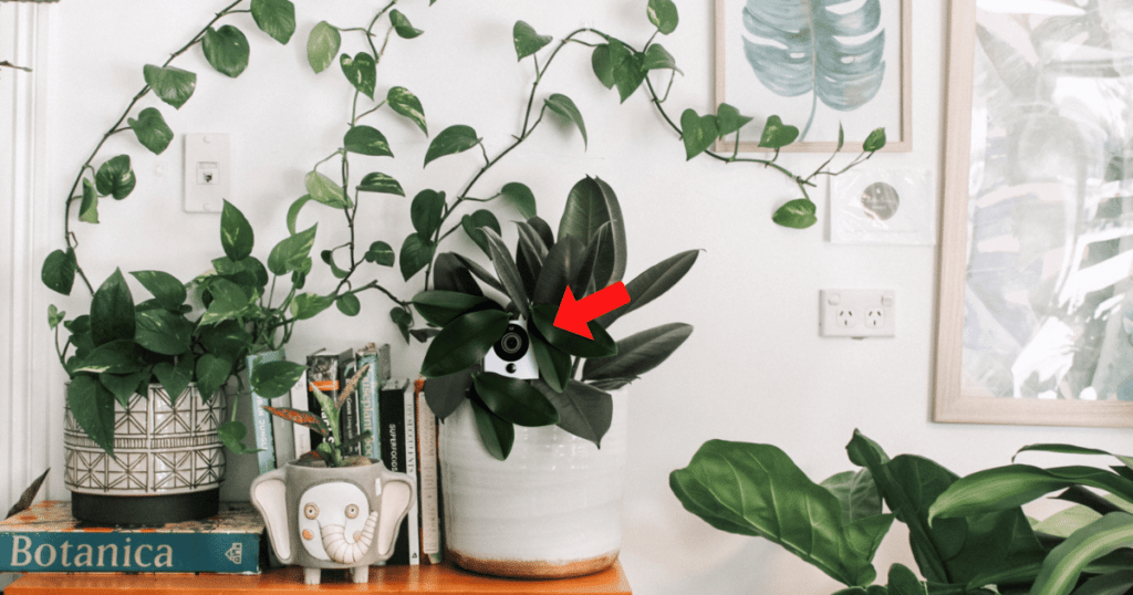 How to Hide a Camera in Plain Sight? (10 Creative Ways)