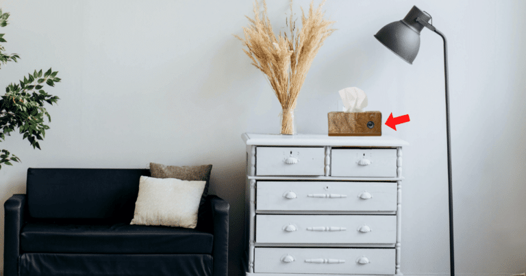 How to Hide a Camera in Plain Sight? (10 Creative Ways)