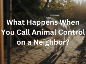 What Happens When You Call Animal Control on a Neighbor?
