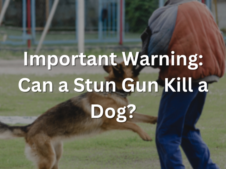 Important Warning: Can a Stun Gun Kill a Dog? - Serious Home Security