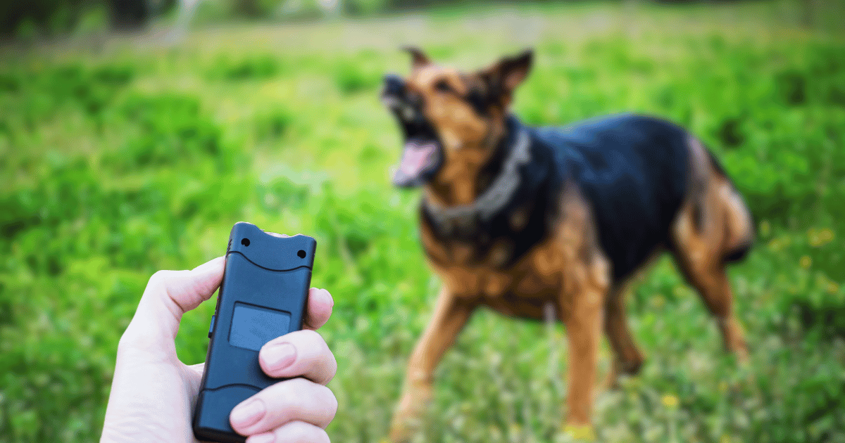 Important Warning: Can a Stun Gun Kill a Dog? - Serious Home Security